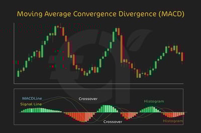 What is Technical Analysis, and How to Use It to Trade Better?
