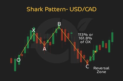 Explain Harmonic, Top 12 Harmonic Patterns in Trading